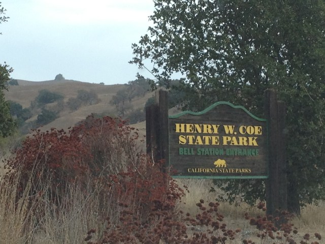 Henry Coe State Park: Pacheco Crossing, Dowdy Ranch & Bell Station ...