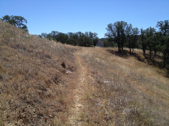 Orestimba Wilderness, Rooster Comb, Robison Creek @ Henry Coe State ...