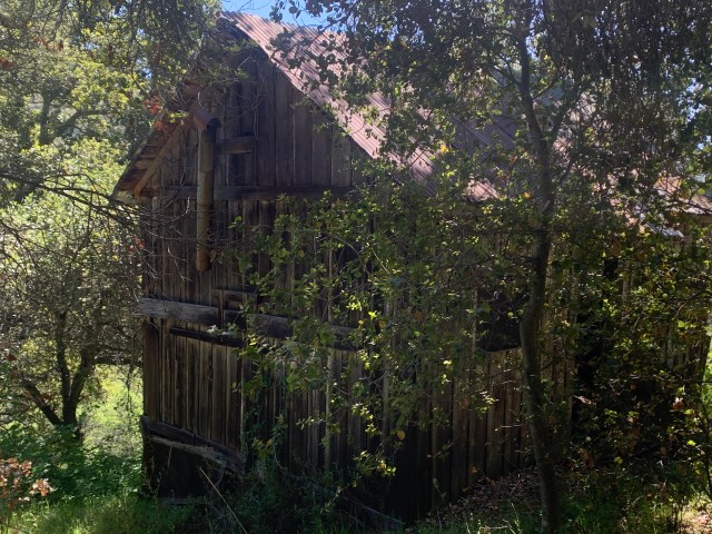 Henry Coe overnight: an unburned cabin & Kickham Ranch | AlphaRoaming